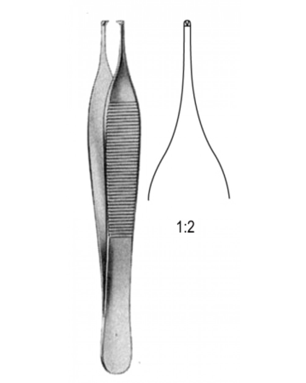 Adson Tissue Fcps 1x2T 15cm