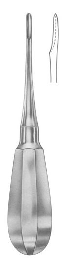 Root Elevators Bein Fig.4